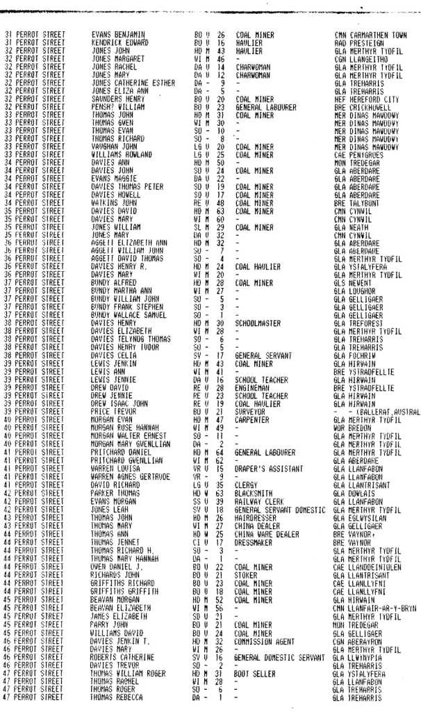 Treharris Census 1891 – Treharris District