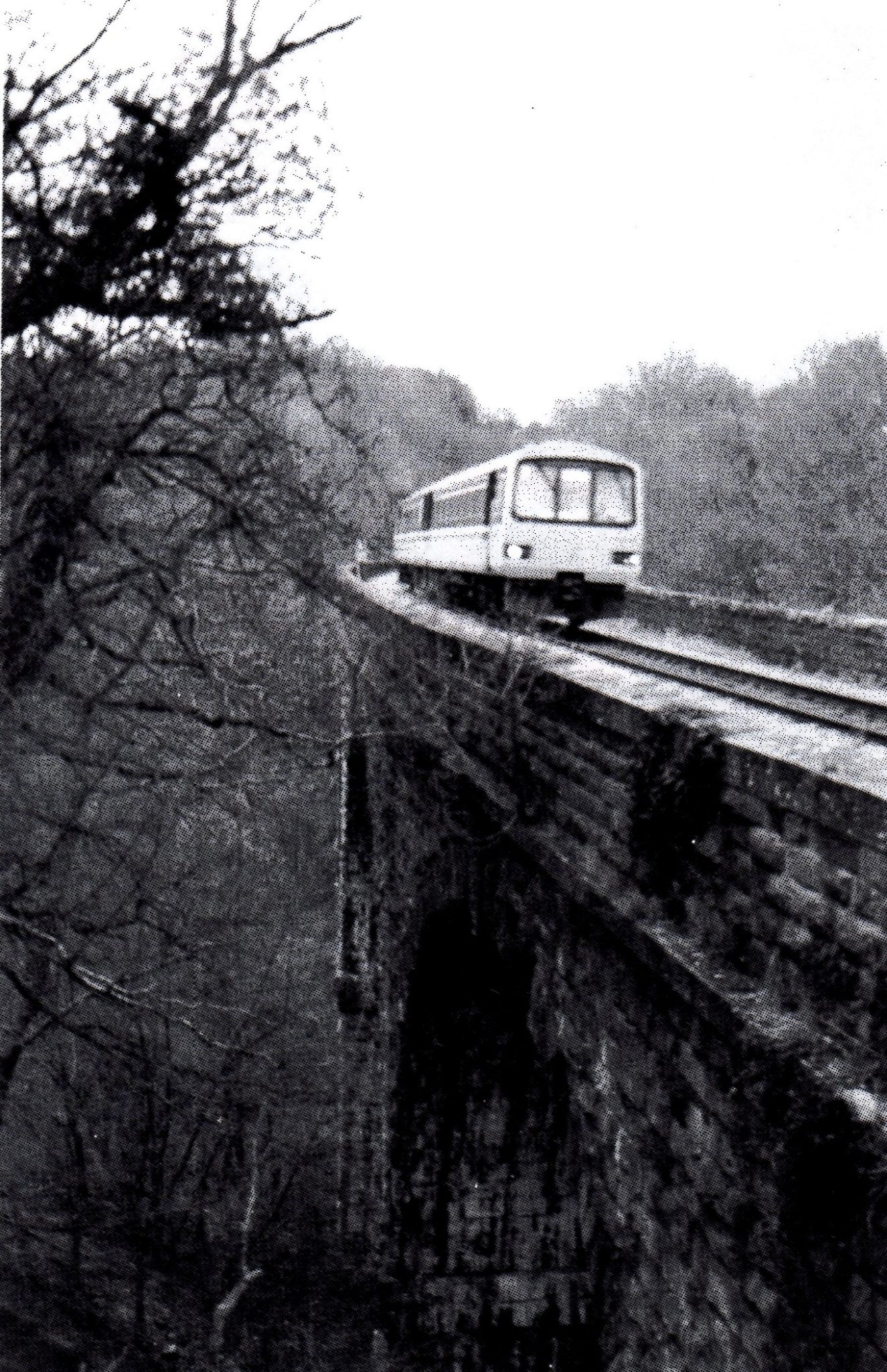 photographic history – Treharris District